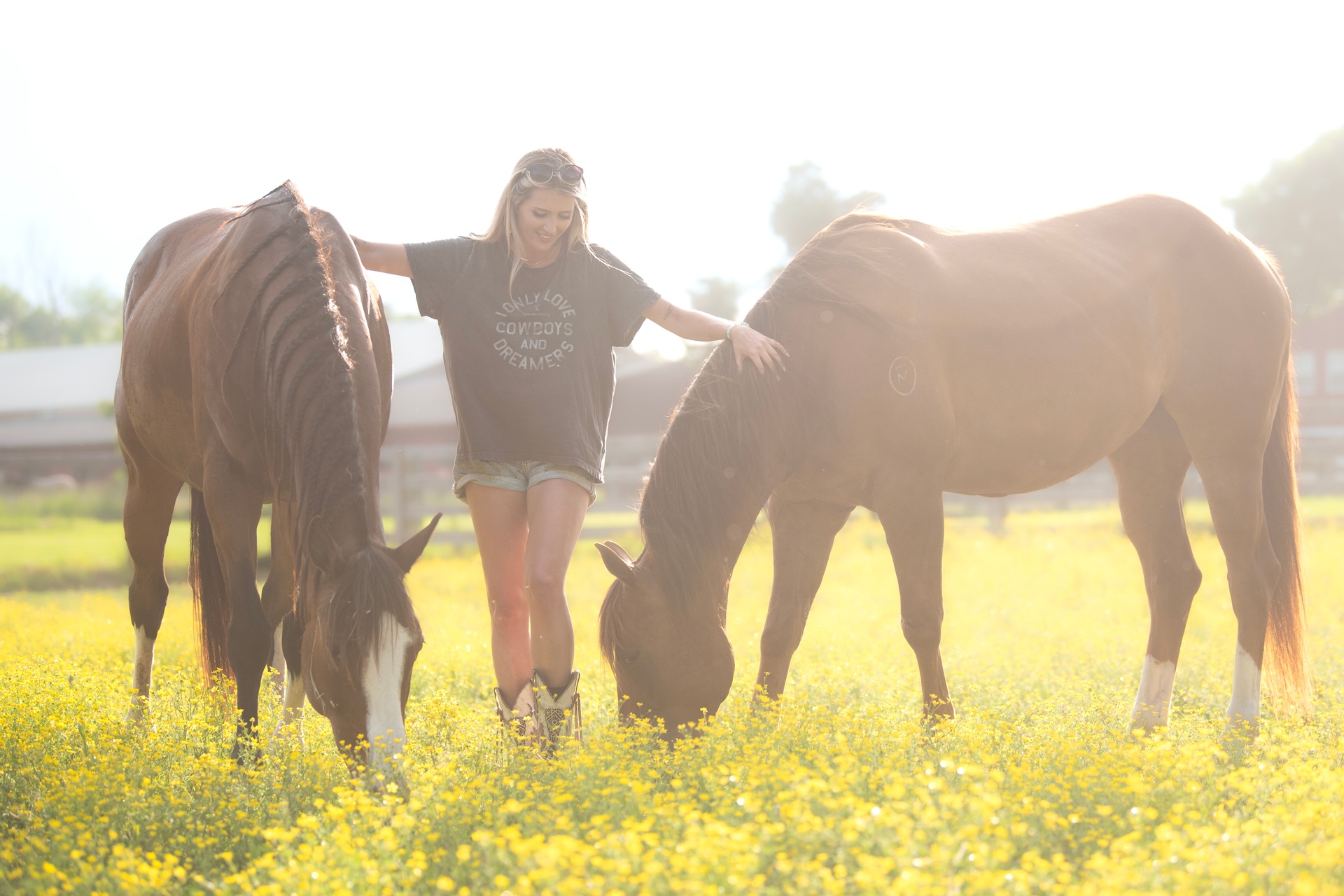 victoria morano photography pennsylvania based equine photographer