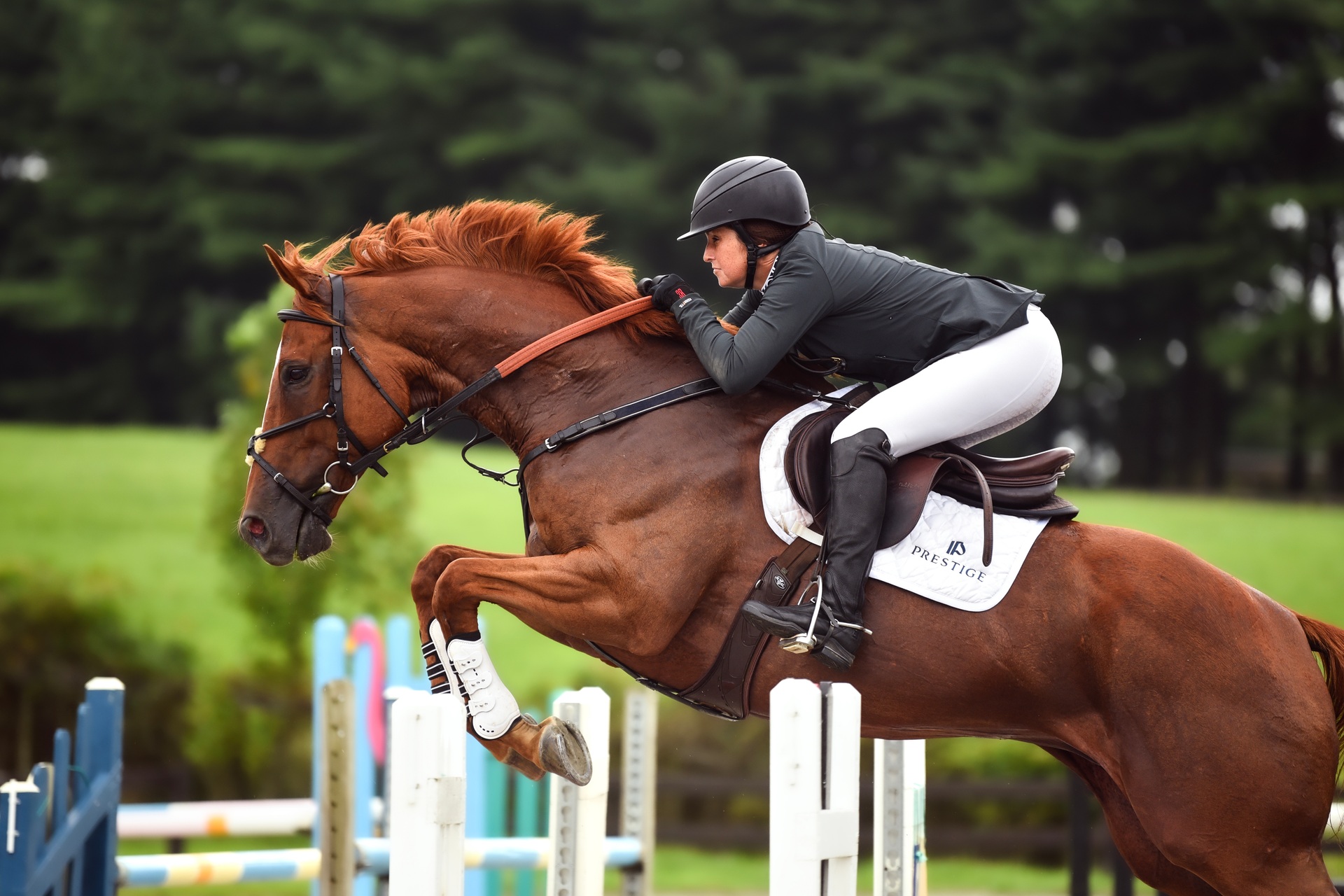 Victoria Morano Photography