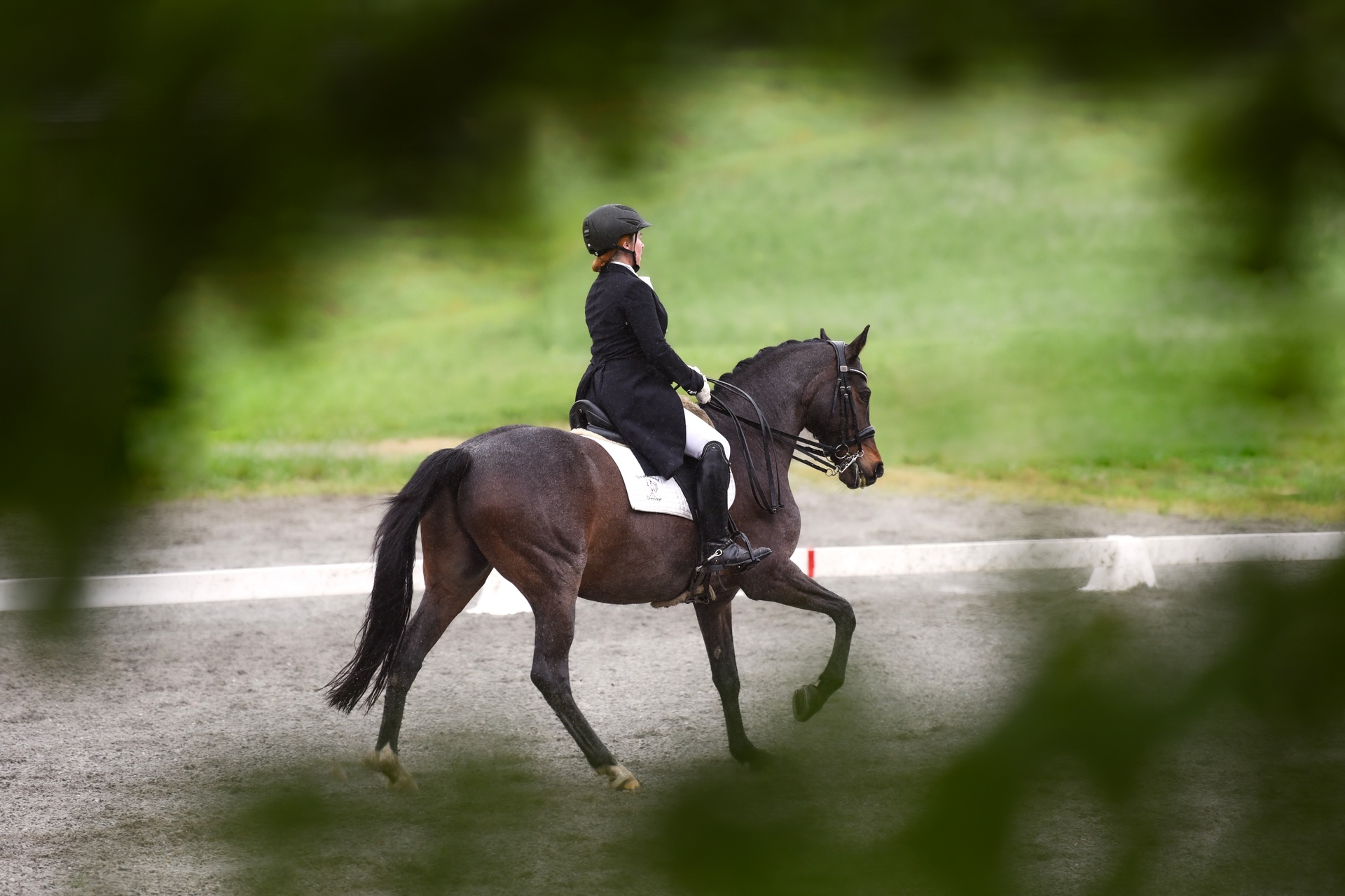 Victoria Morano Photography