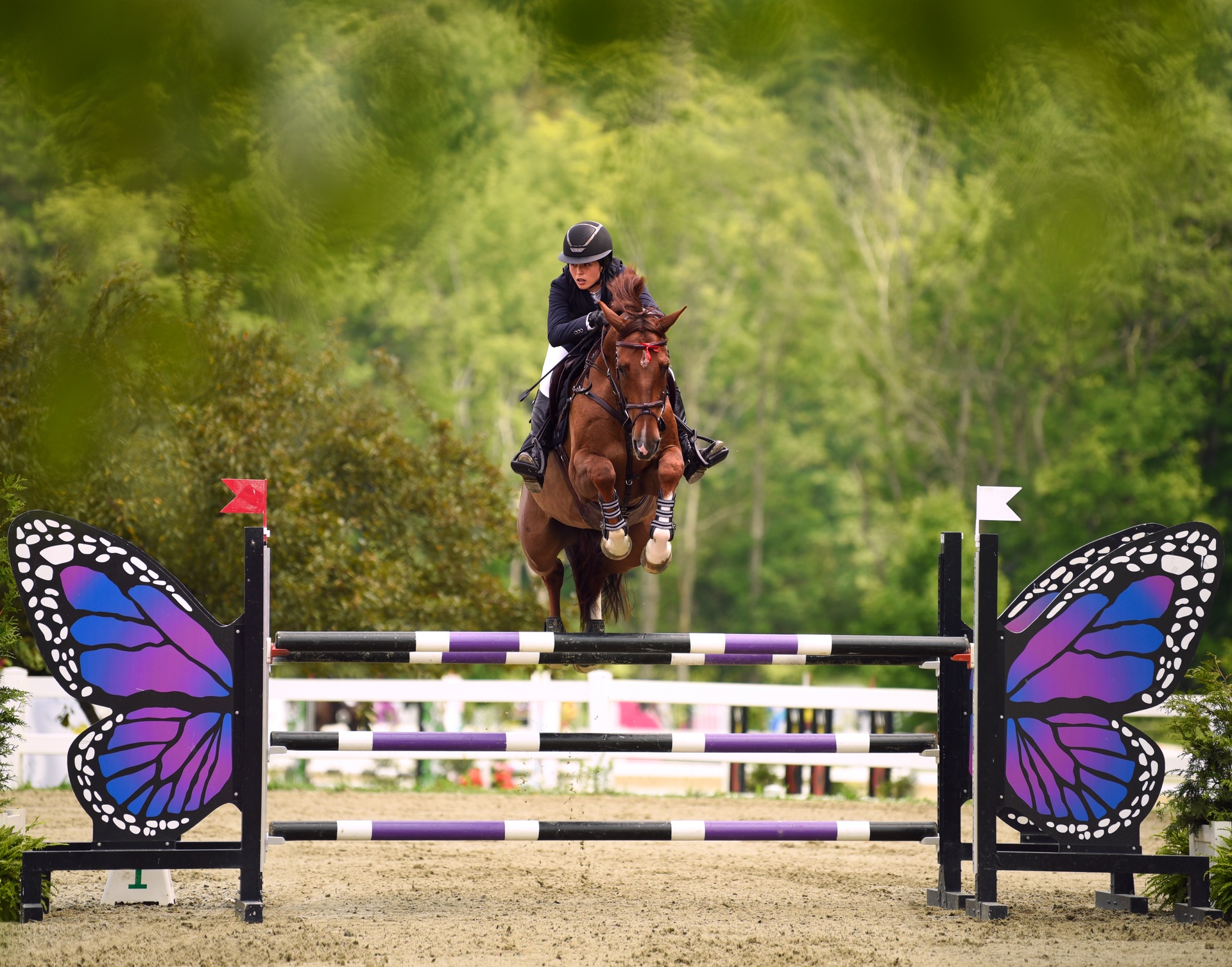 Victoria Morano Photography