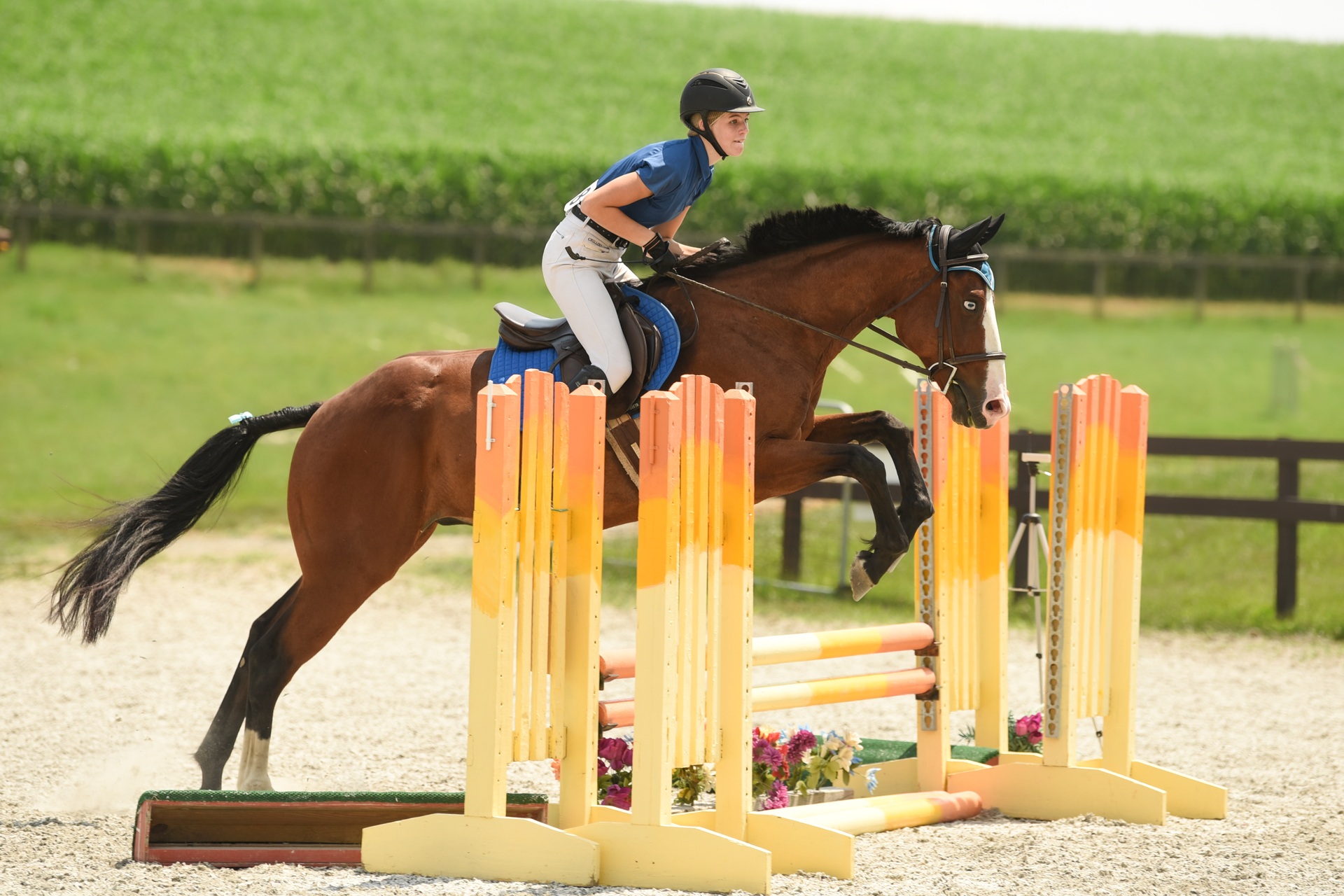 Victoria Morano Photography