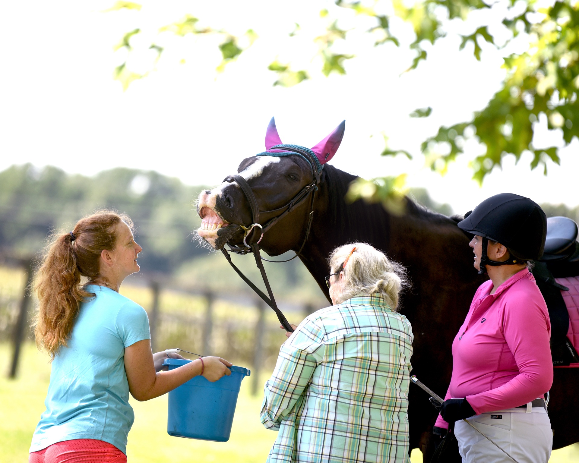 Victoria Morano Photography