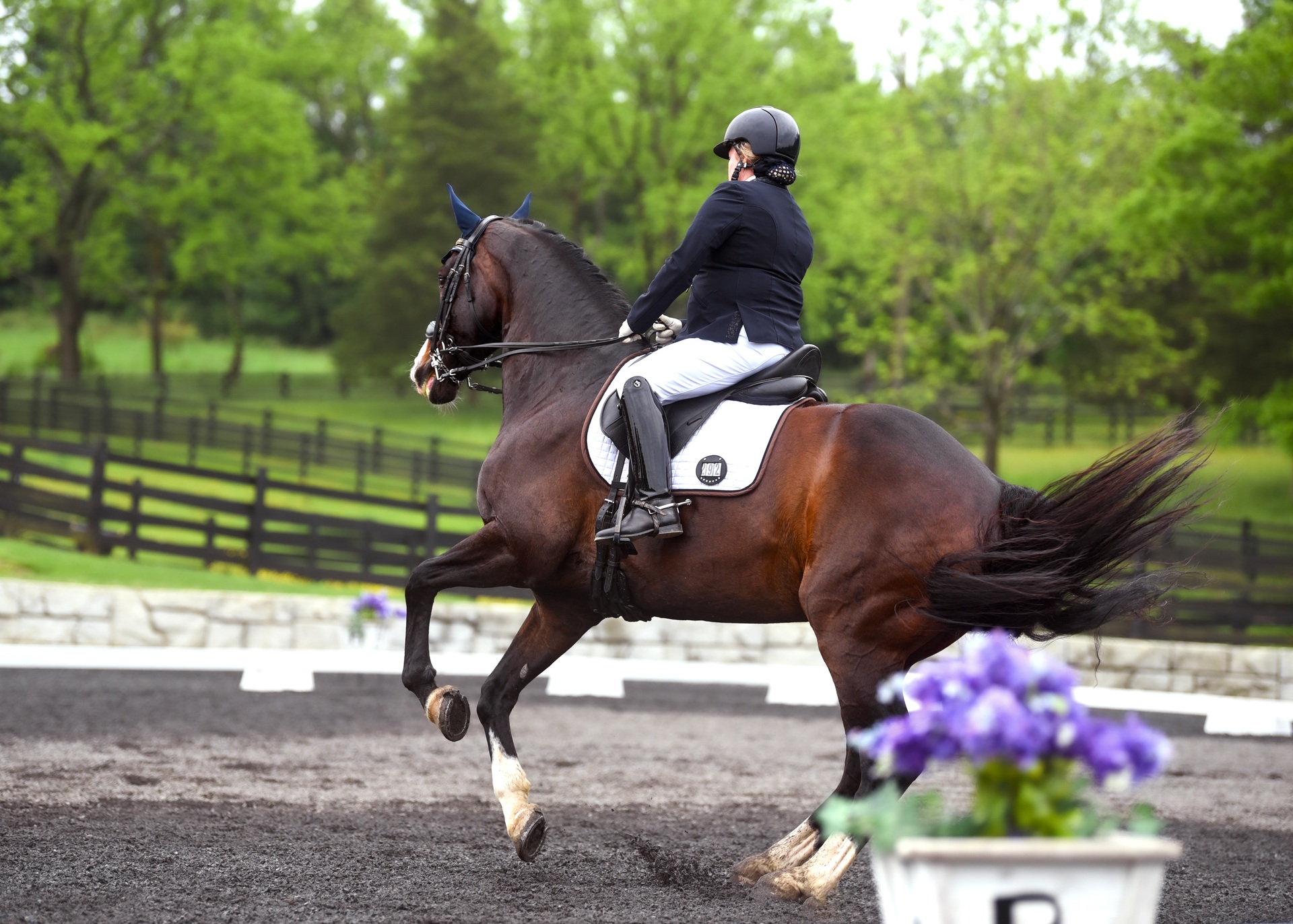 Victoria Morano Photography