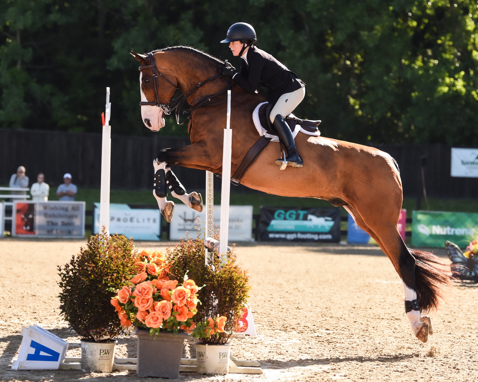 Victoria Morano Photography