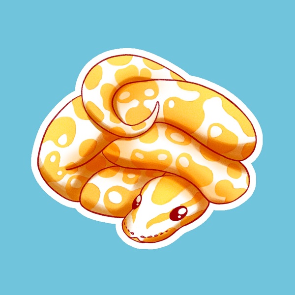 Albino Ball Python Sticker