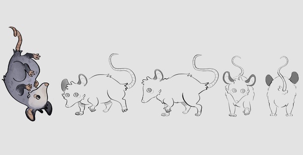 Ink Cryptid Illustrations