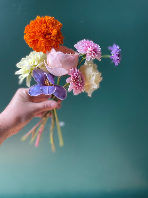 Flora and Fauna Brooklyn