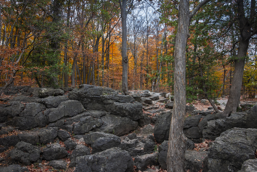 David Hook Photography