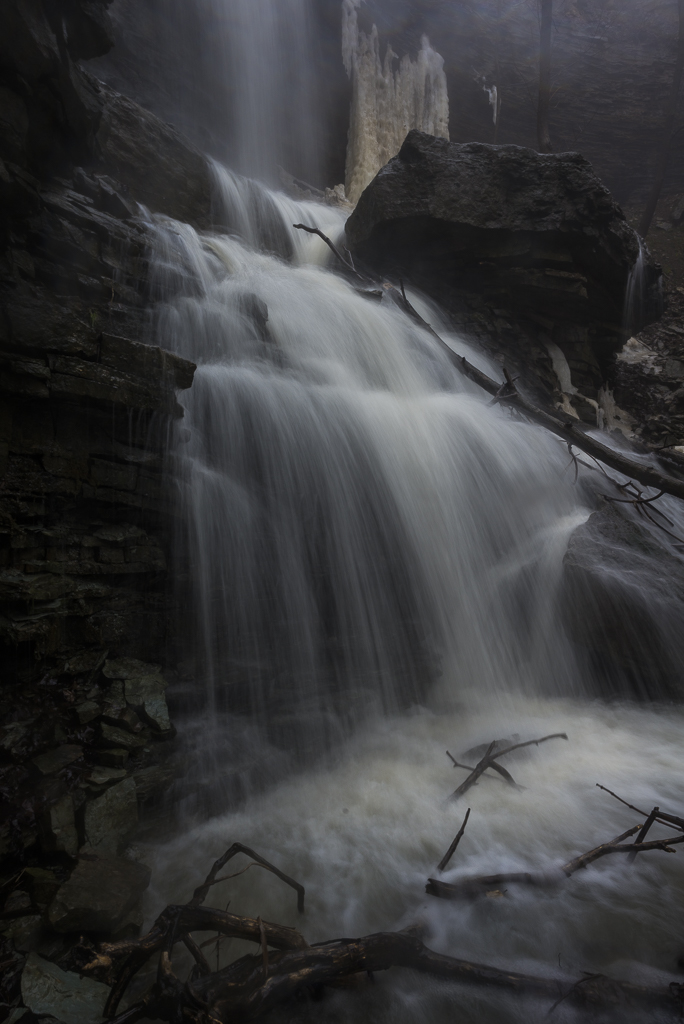 David Hook Photography