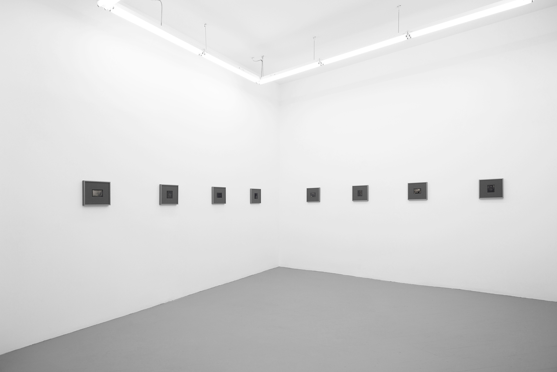 MYRA GREENE at PATRON