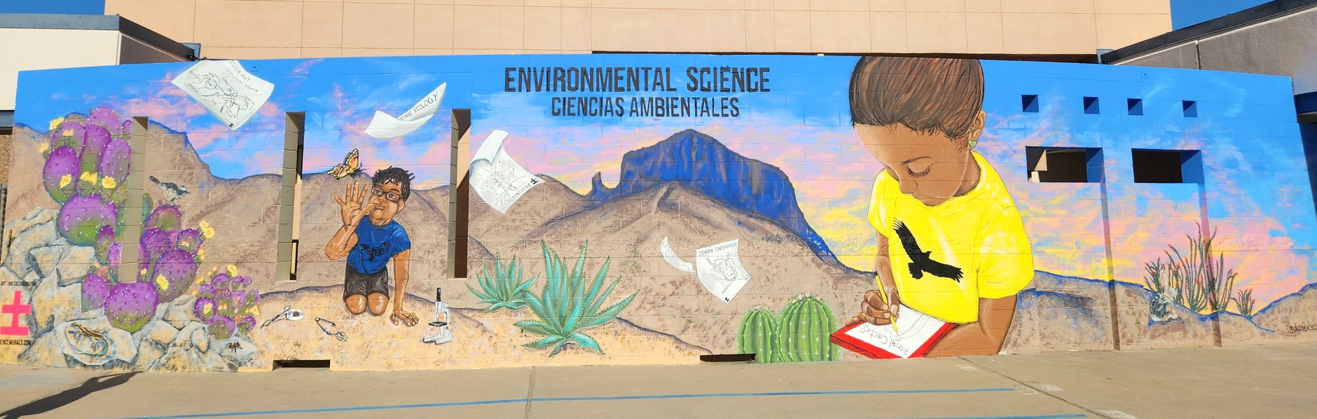 Science Murals