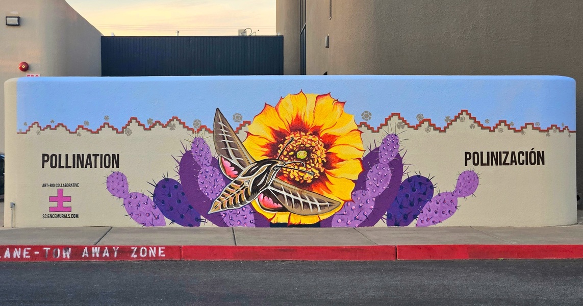 Science Murals
