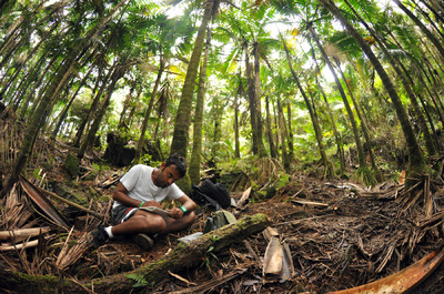 ISLAND LIFE - ART+BIO Collaborative