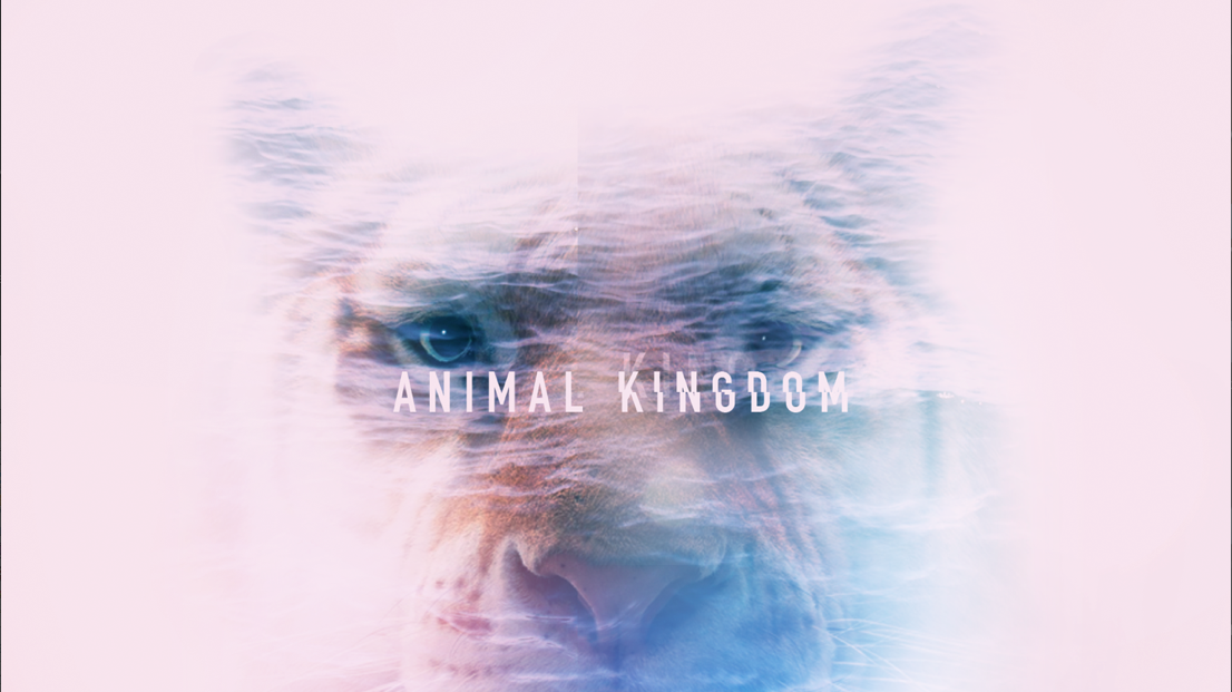 MICHAEL DOMICO WATSON