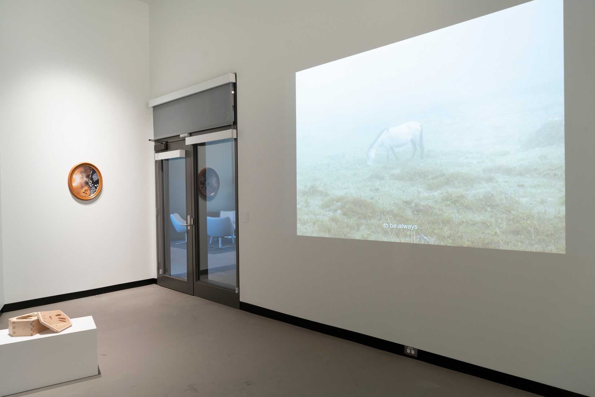 Exhibitions
