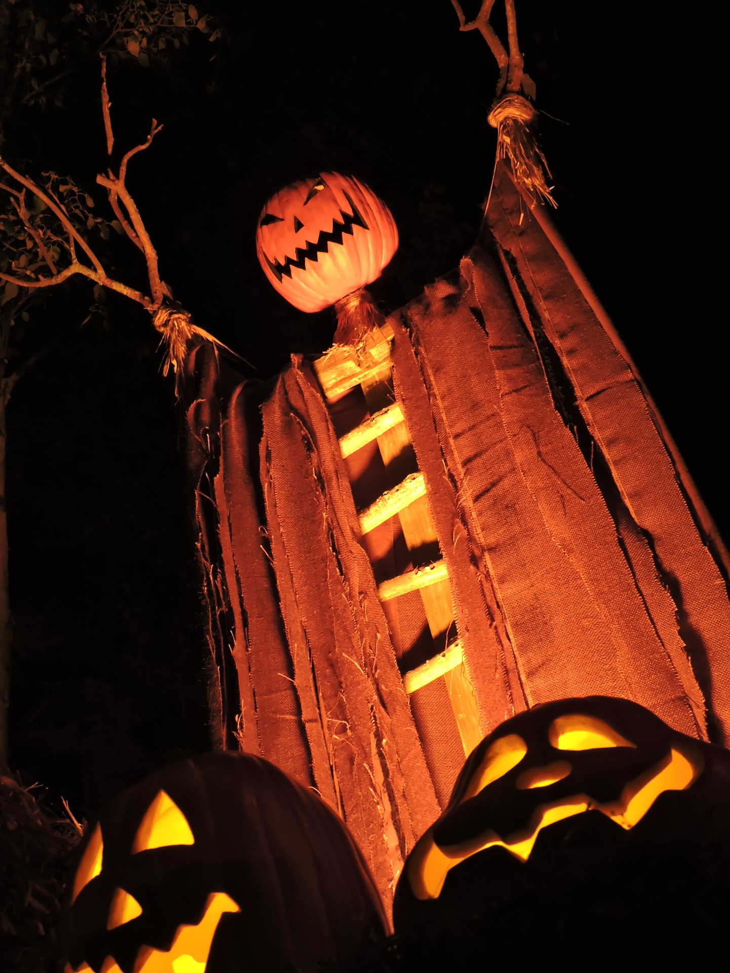 Joseph Bauer Art & Design