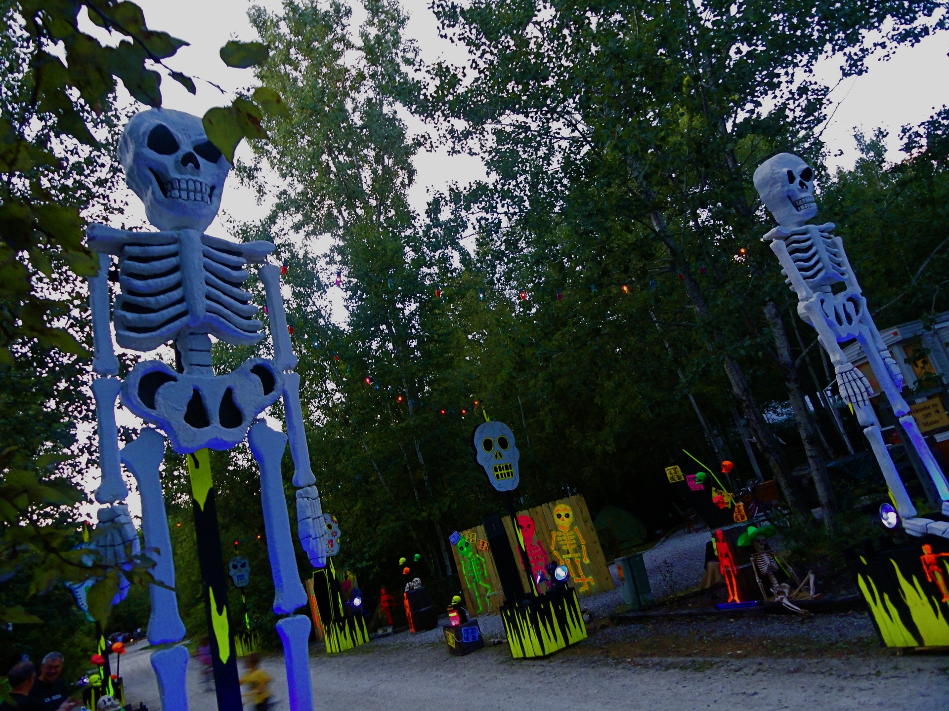 Joseph Bauer Art & Design