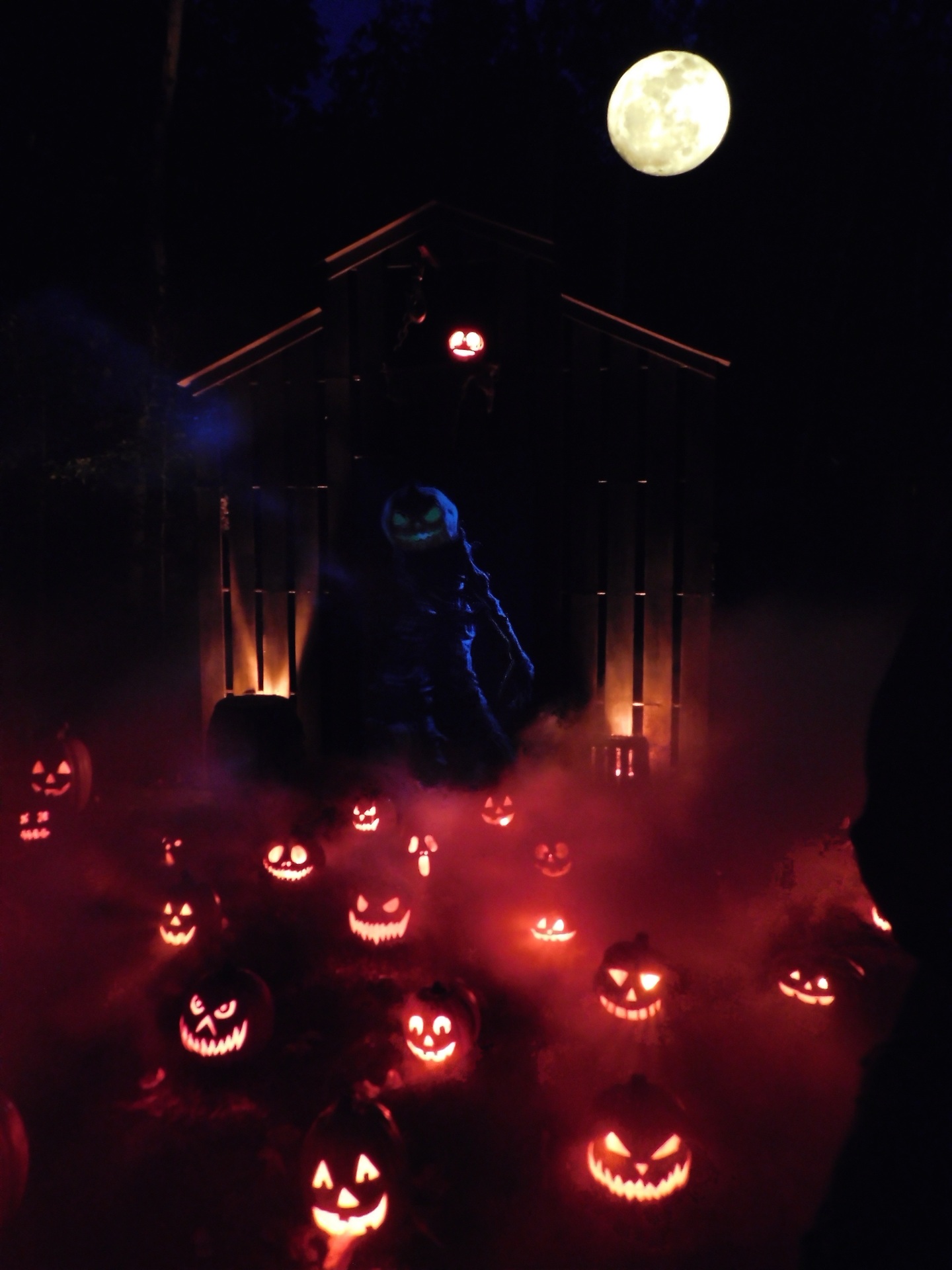 Joseph Bauer Art & Design