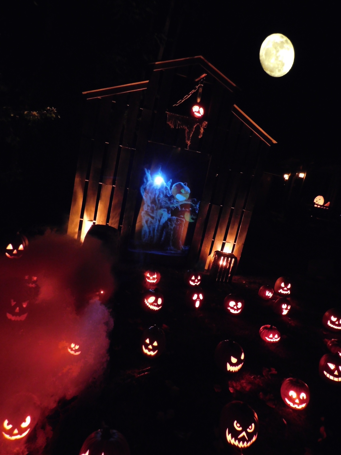 Joseph Bauer Art & Design