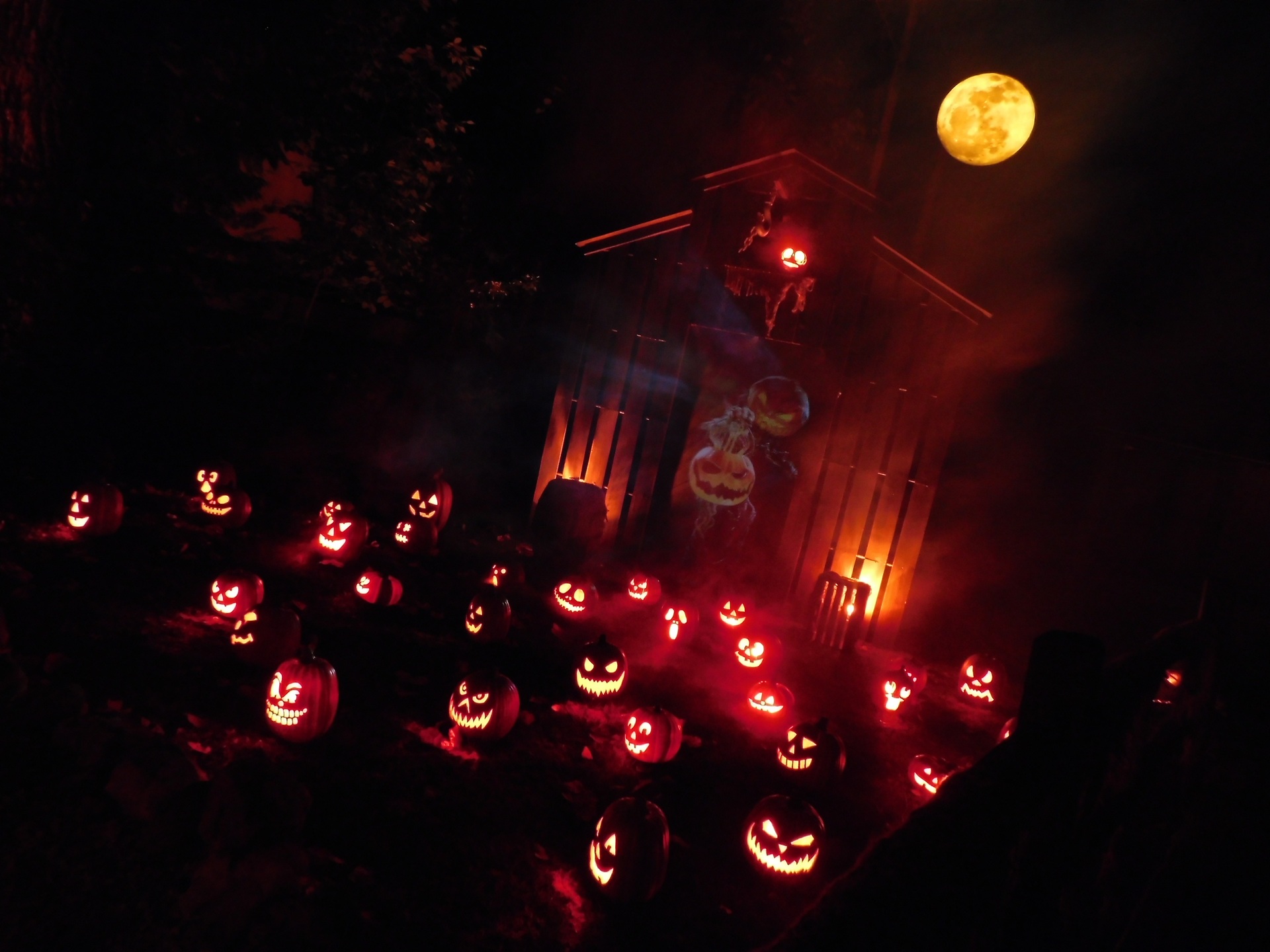 Joseph Bauer Art & Design