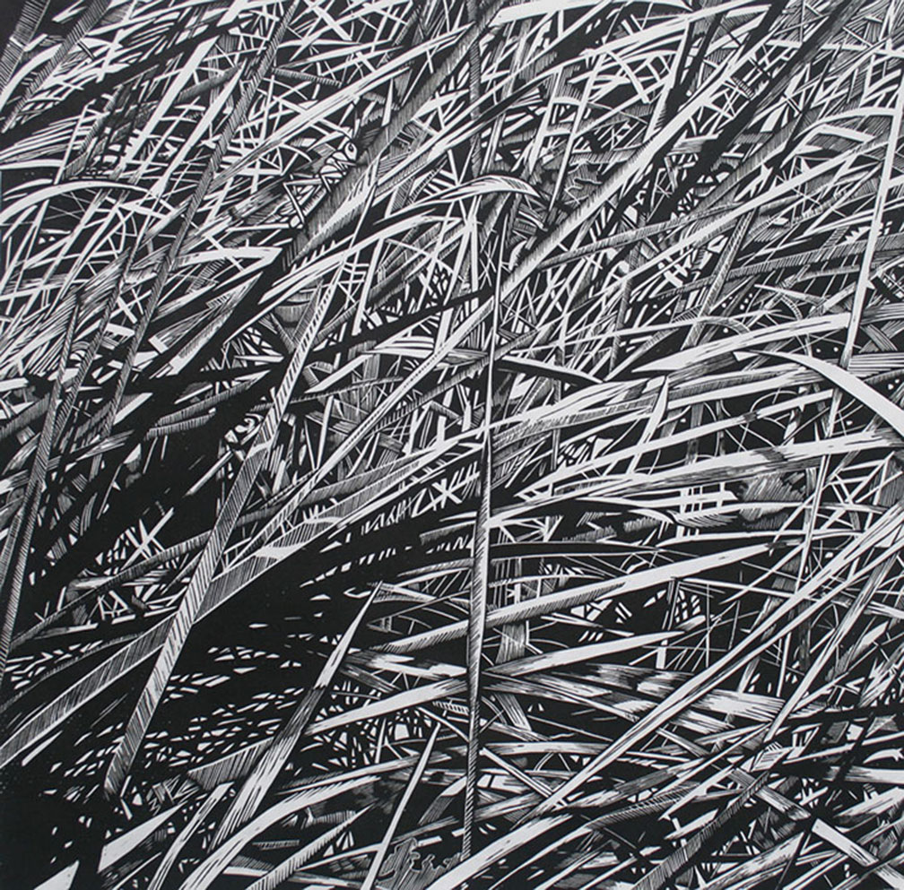 Donald C. Martin Artist