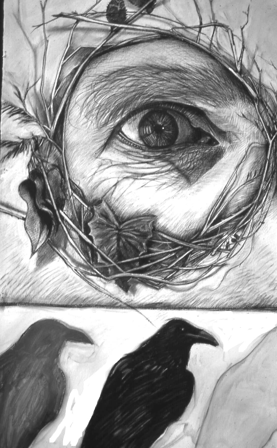 Donald C. Martin Artist