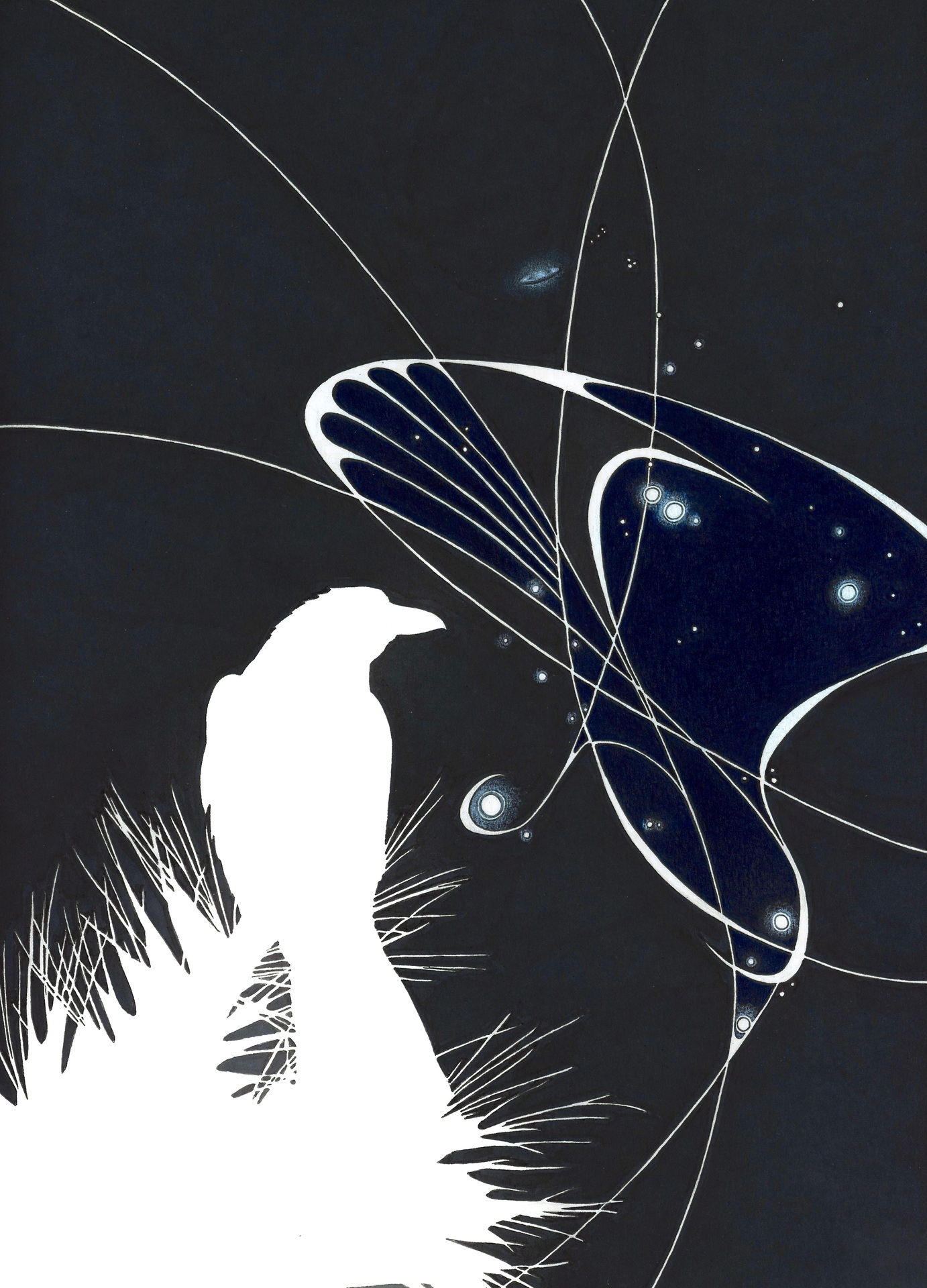 Overlooked Constellations