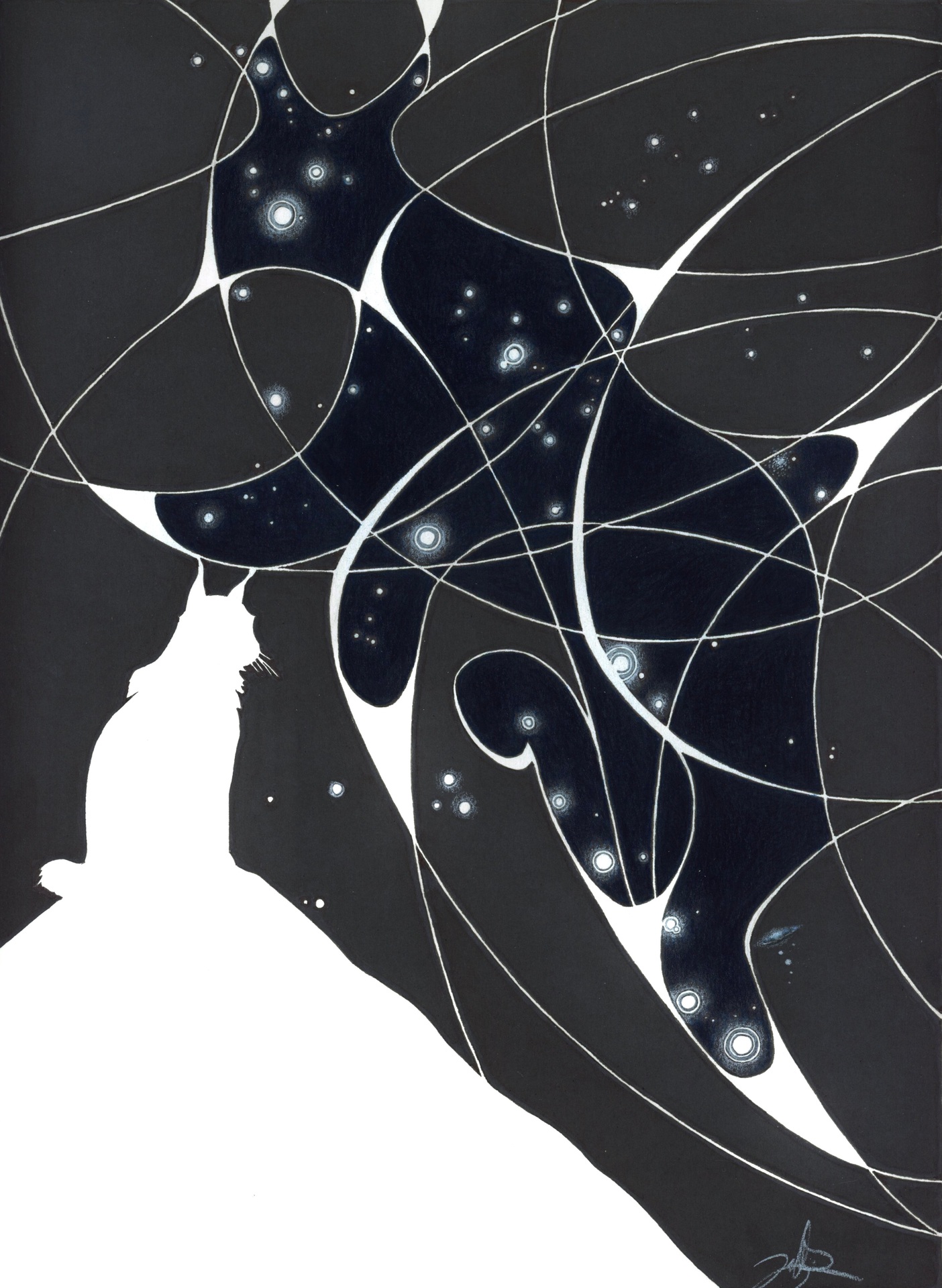 Overlooked Constellations