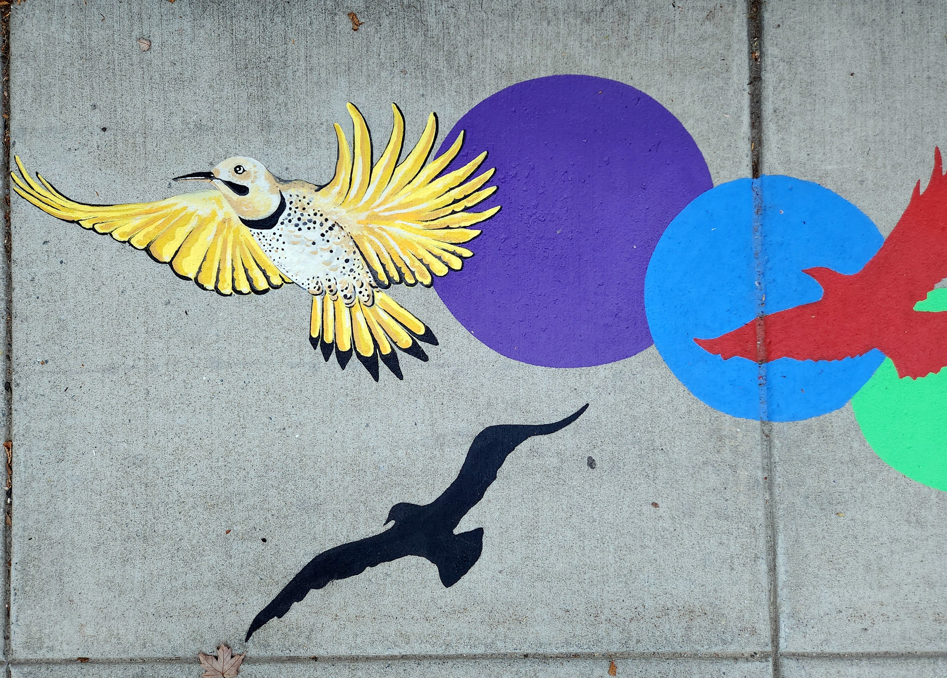 Science Murals - dowdynava