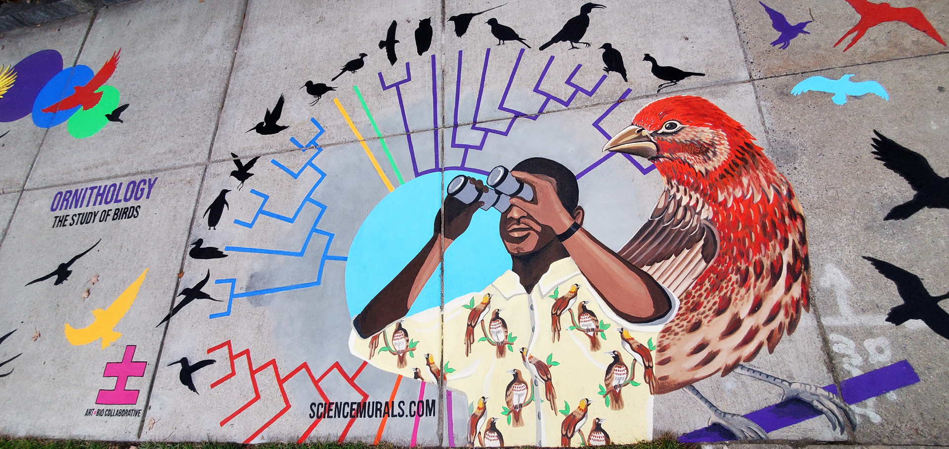 Science Murals - dowdynava